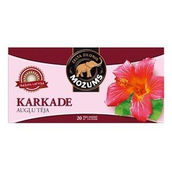 Augļu tēja | Hestio.lv